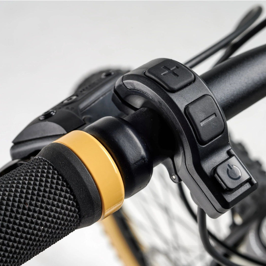 S'COOL e-troX race Kinder eBike – cult.bike